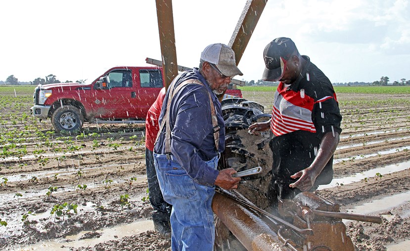 Irrigation Troubleshooting Begins After Harvest | AgWeb