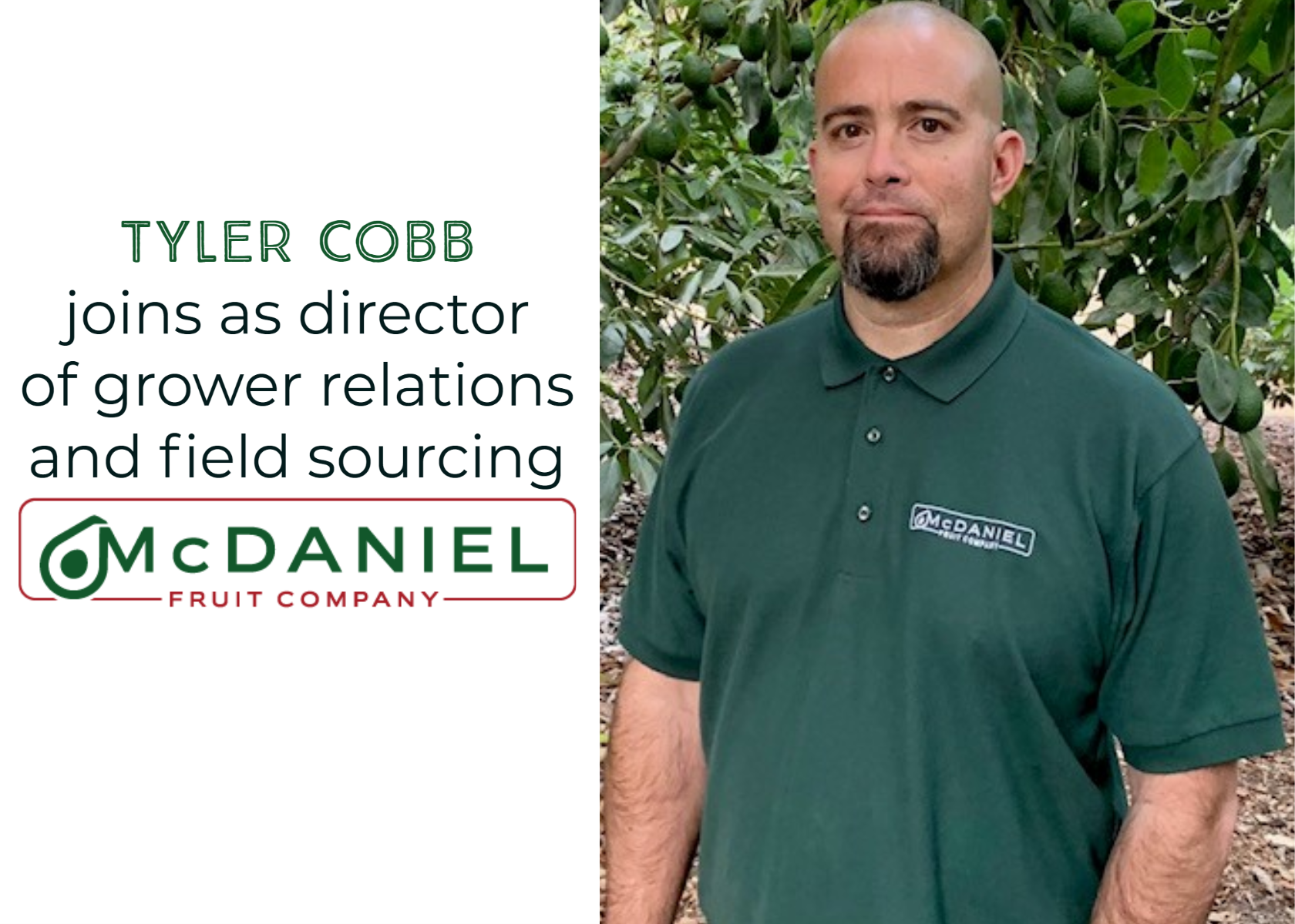 McDaniel Fruit hires Tyler Cobb in grower relations | The Packer