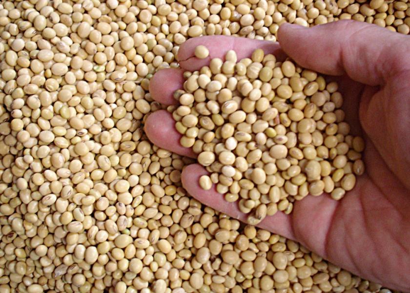 Markets Now with Tyne Morgan: Why History Shows $16 Soybeans are ...
