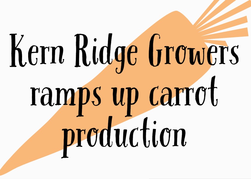 Kern Ridge Growers ramps up carrot production | The Packer