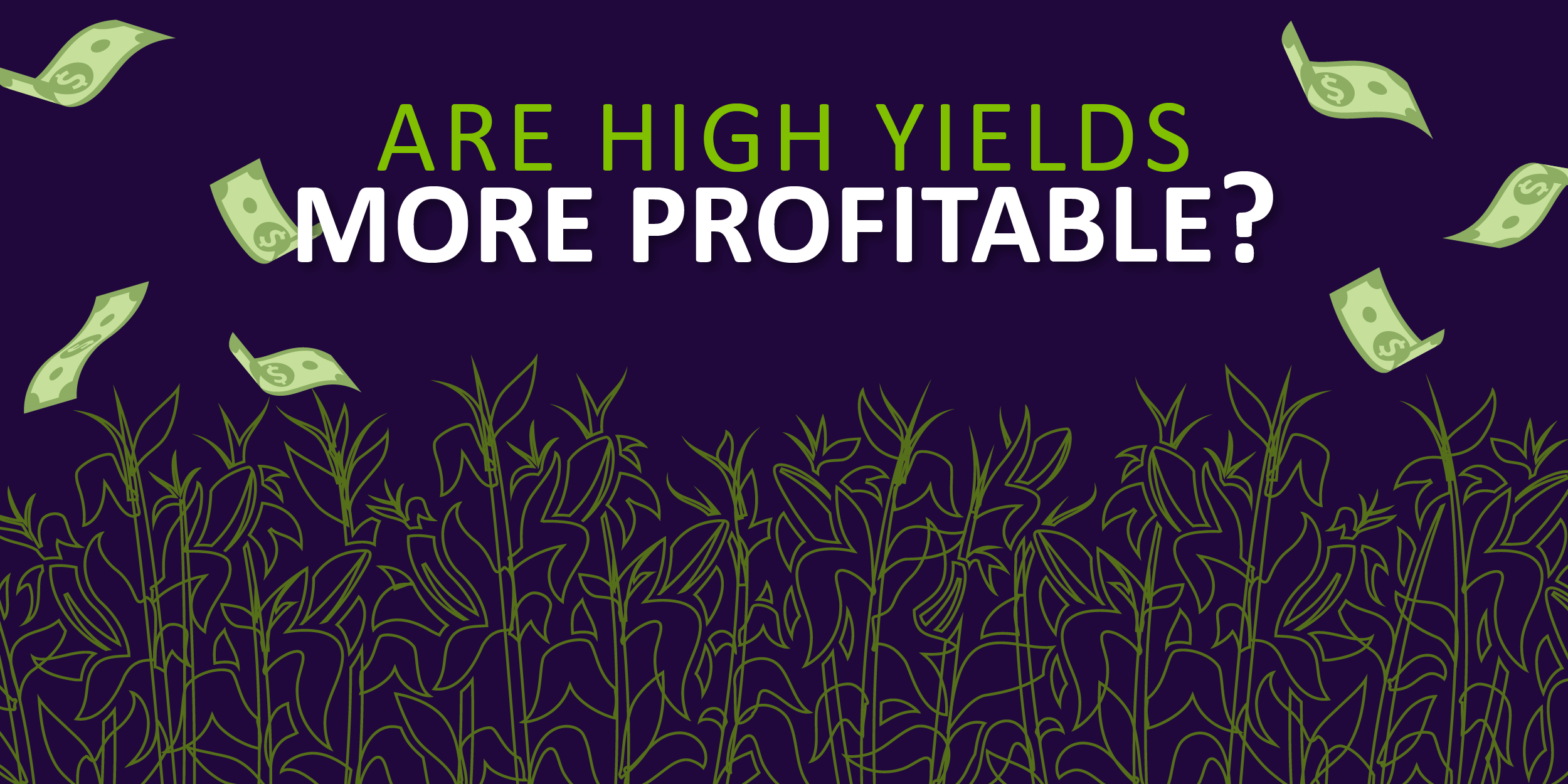Are High Yields More Profitable? | AgWeb