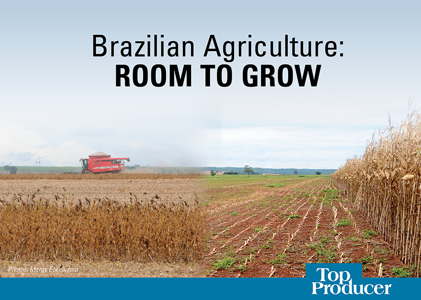 Brazilian Agriculture: Room to Grow | AgWeb