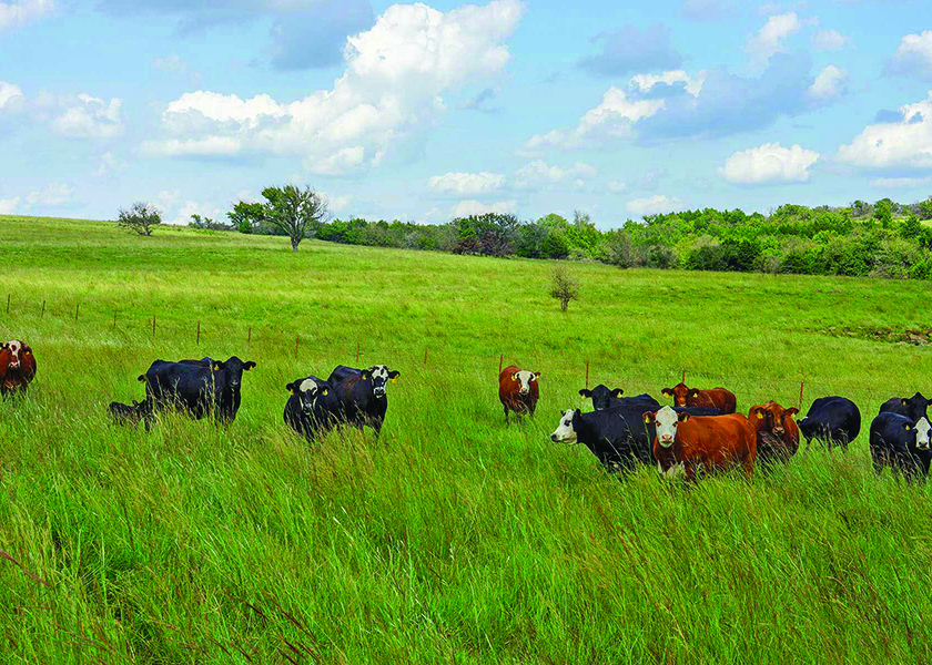 Expanded Use and New Name for 200-day Cattle Implant From Zoetis ...