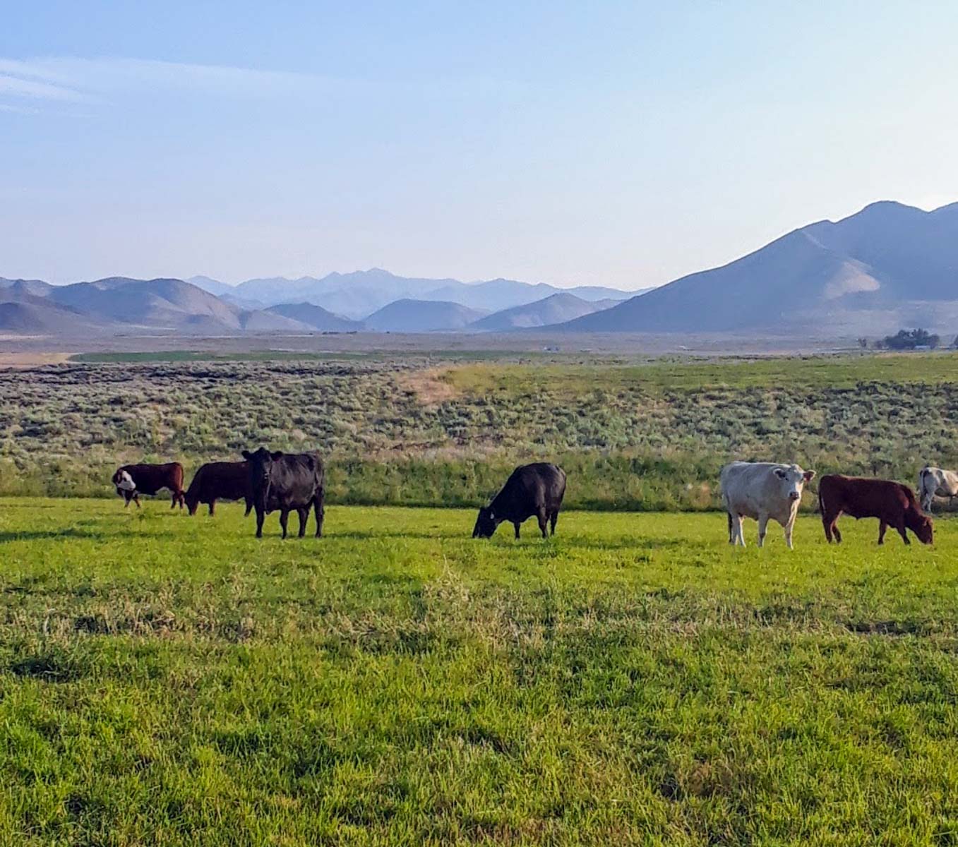 BLM Recognizes Ranchers for Exemplary Stewardship of Public Rangelands ...