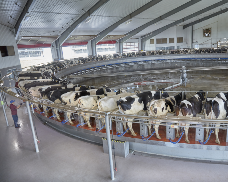 8 Efficiency-Driving Technologies for Rotaries and Parlors | Dairy Herd