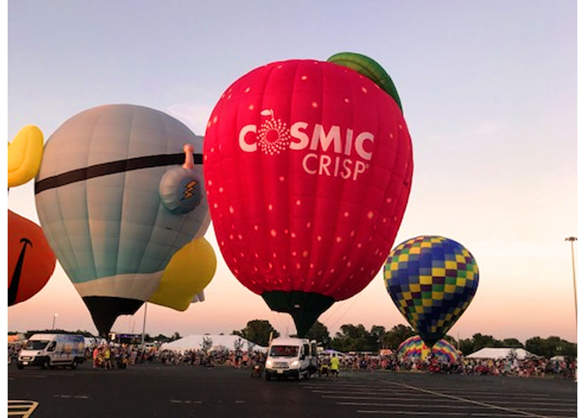 Cosmic Crisp sales are aiming higher | The Packer