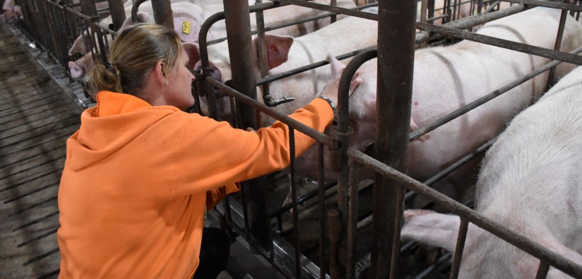 How Tosh Farms Is Equipping an Unlikely Source of Employees In the Sow ...