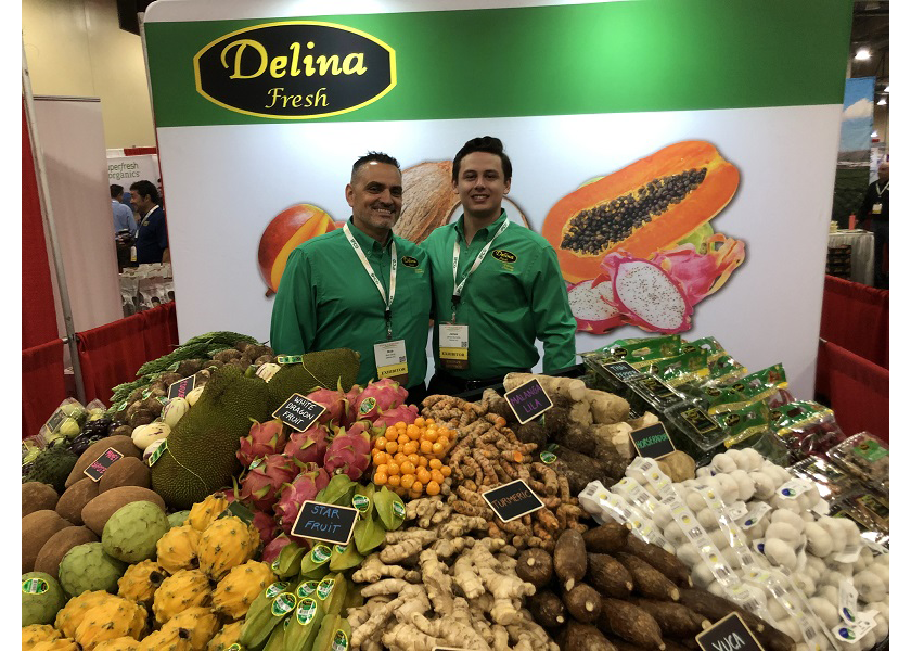 Delina Fresh uses air freight to balance port congestion | The Packer