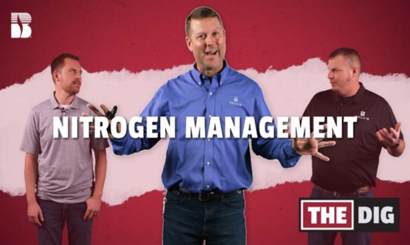 Solving the Nitrogen Management Puzzle | AgWeb