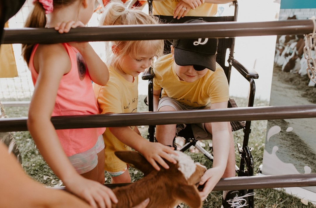 Adopt-A-Cow Program Connects Students with Dairy Farmers | Dairy Herd