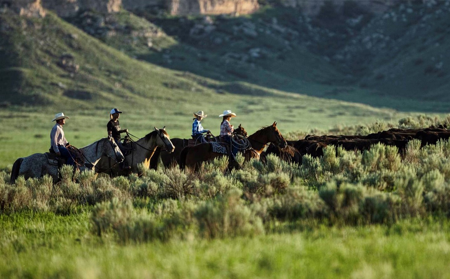 Panhandle Ranch, Environmental Technology Co. Plan New 'Sustainable ...