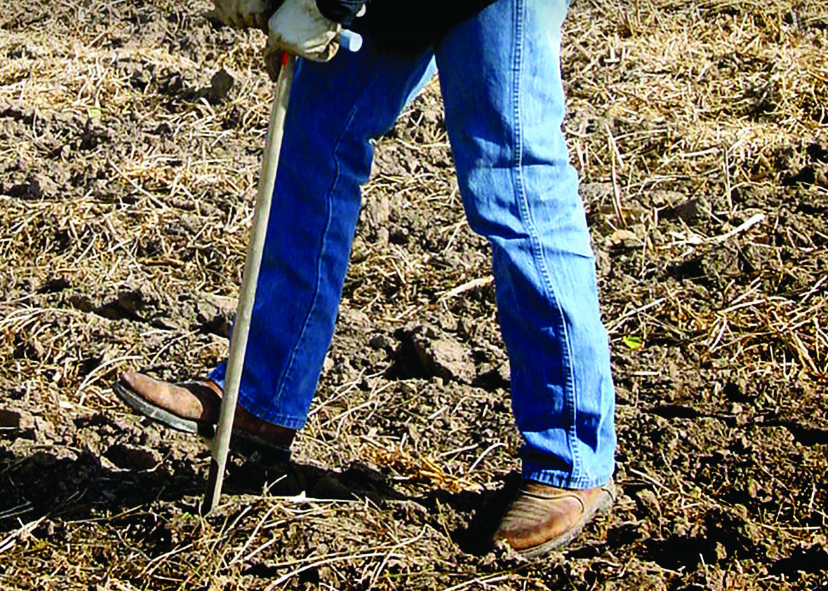 Give Your Soil Routine Checkups | AgWeb