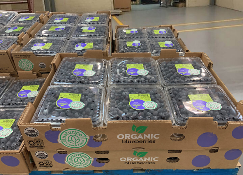 Berries fuel Naturipe's organic sales growth | The Packer