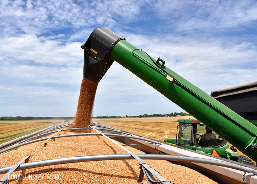 Romania Aims to Double Ukrainian Grain Transit Capacity | AgWeb