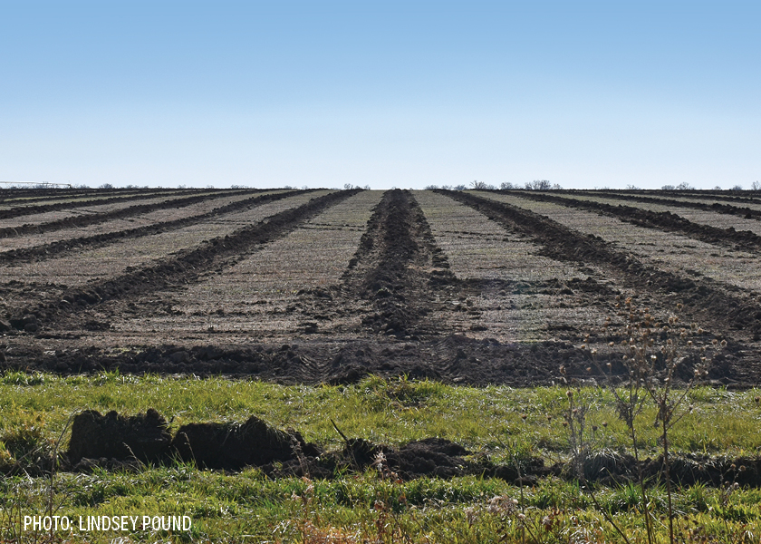 Tile Drainage Spacing With The Highest Economic Return | The Scoop