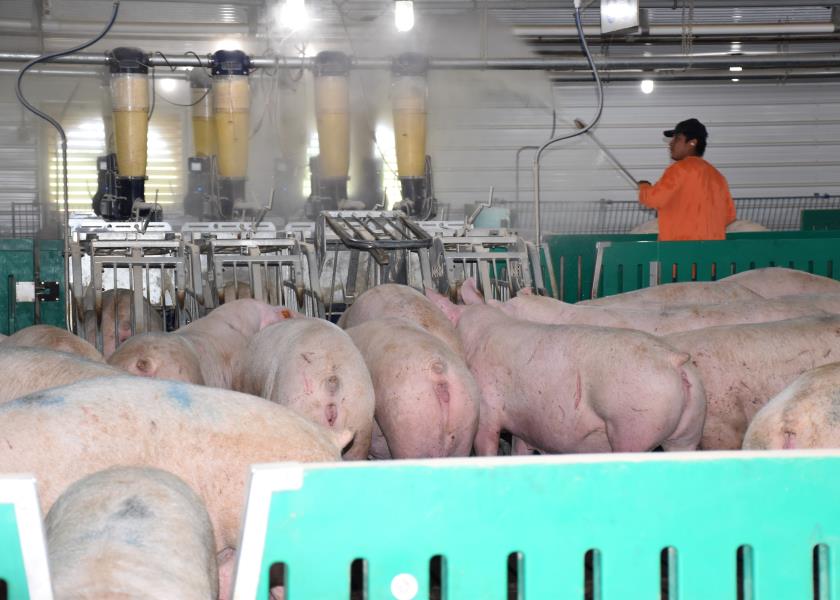 Will Precision Livestock Farming Be Adopted on Swine Farms? | Pork Business