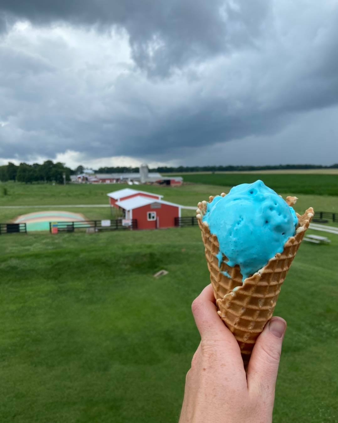 Kentucky Dairy Farm Featured on Guy Fieri’s All-American Road Show ...