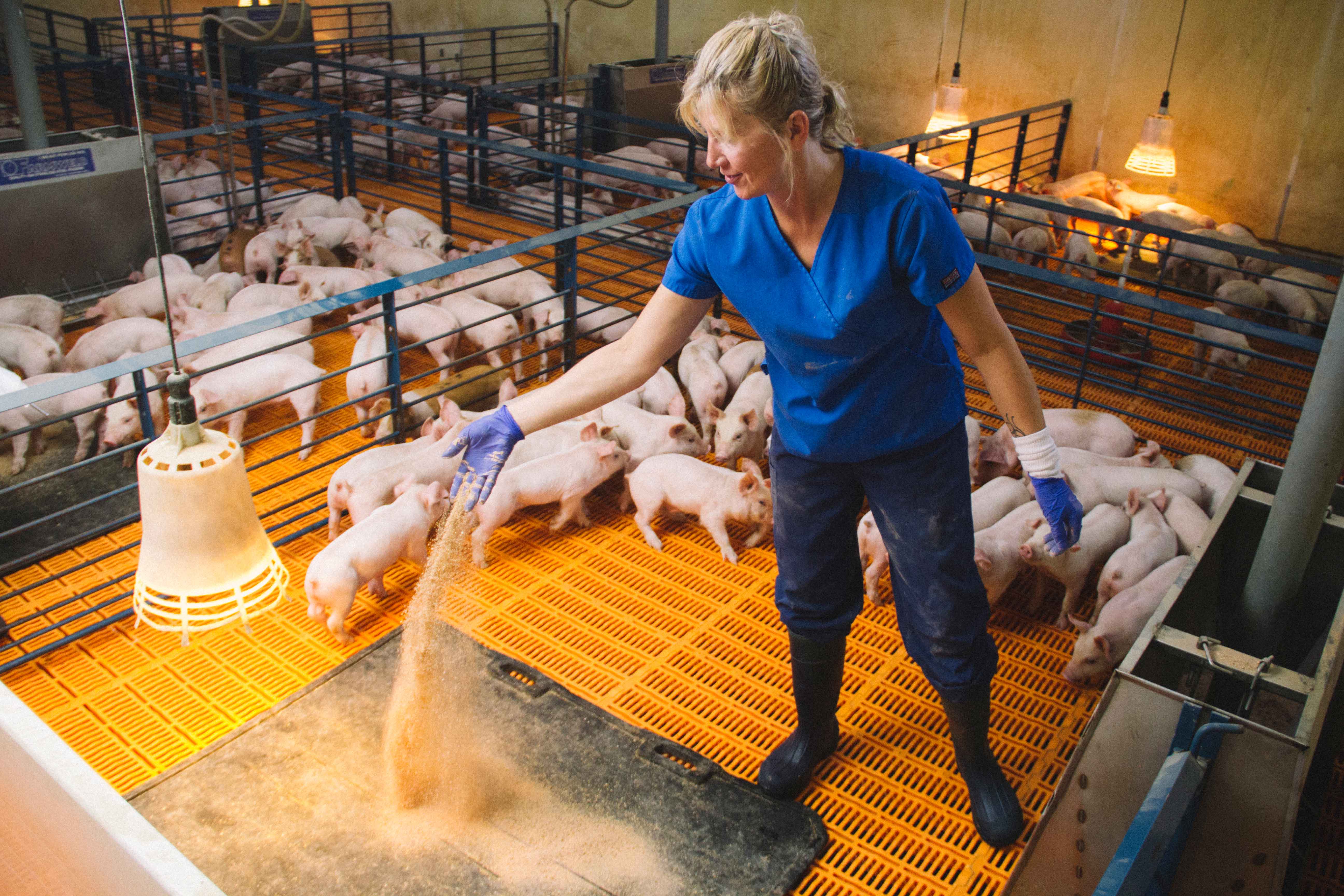 Christensen Farms Celebrates 50 Years of Excellence in Agriculture ...