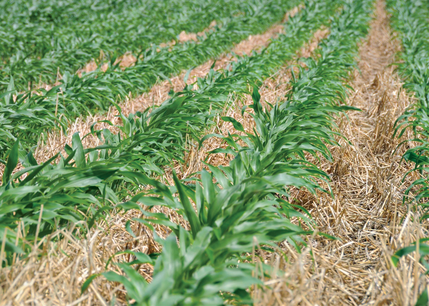 How To Boost Your Sustainability Efforts By Aerially Applicating Cover ...