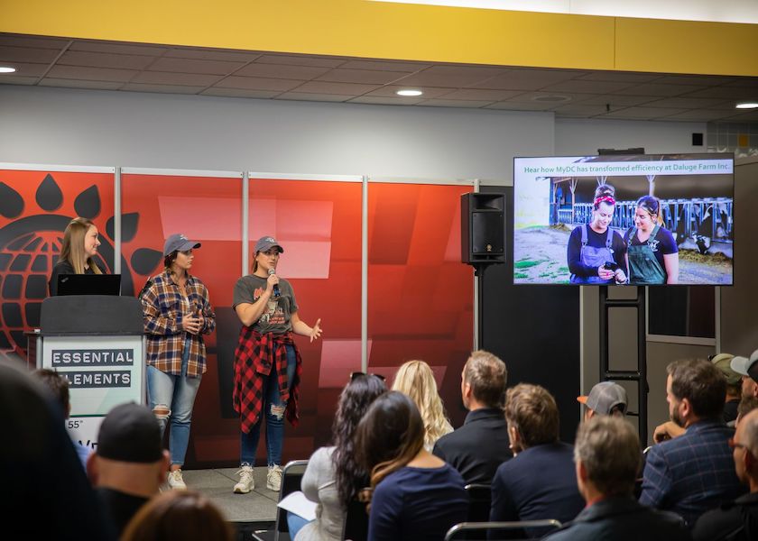 First Veterinary Schools to Open in Arkansas | Bovine Veterinarian