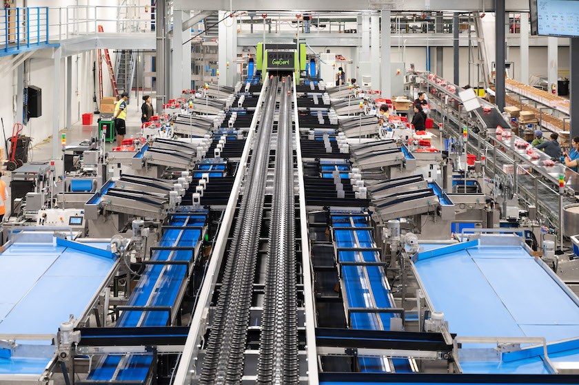 Stemilt upgrades packing line capabilities | The Packer