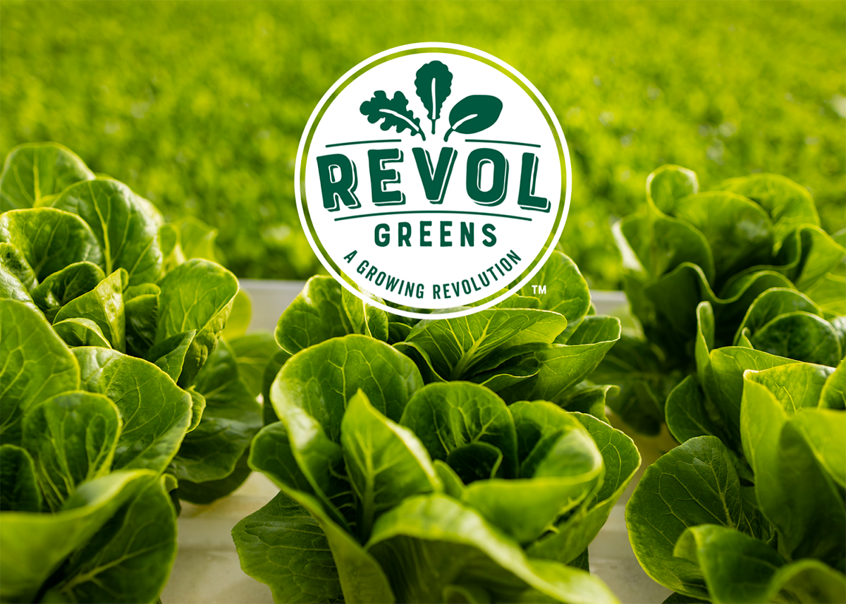 Revol Greens expands facility, launches new romaine program | The Packer