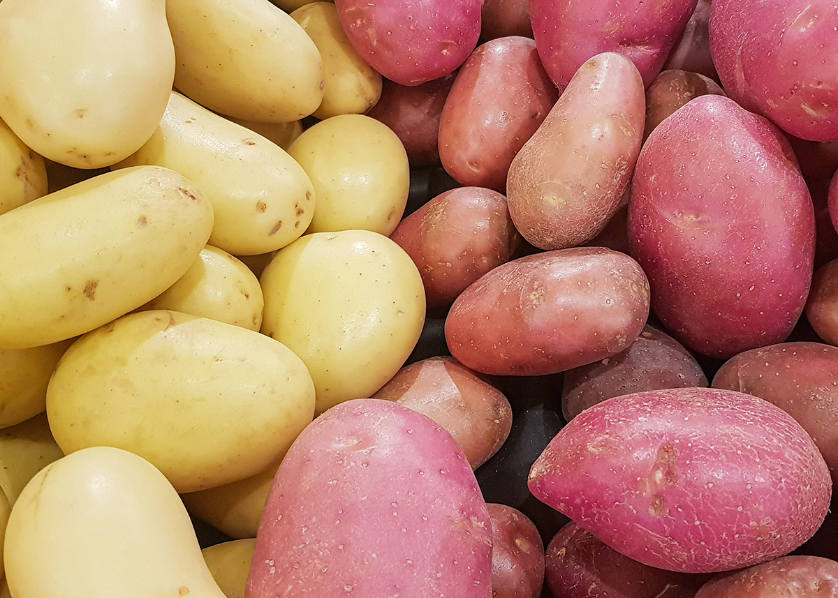 Wilcox Fresh offering new medley pack with Southwind Farms label | The ...