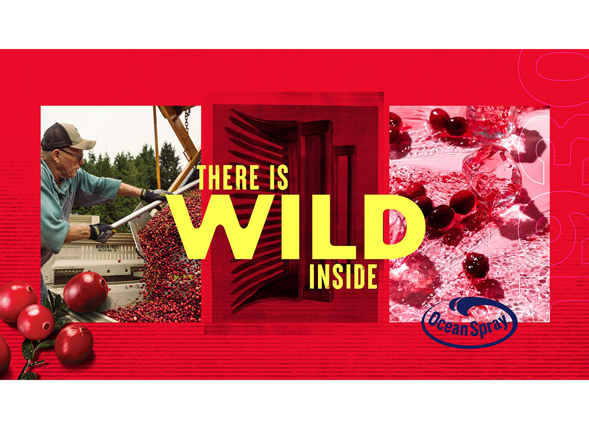 Ocean Spray Cranberries updates branding with 'uncommonly wild' look ...