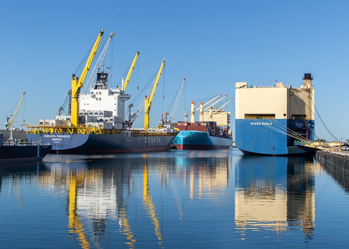 How ports are growing to fit an expanded role | The Packer