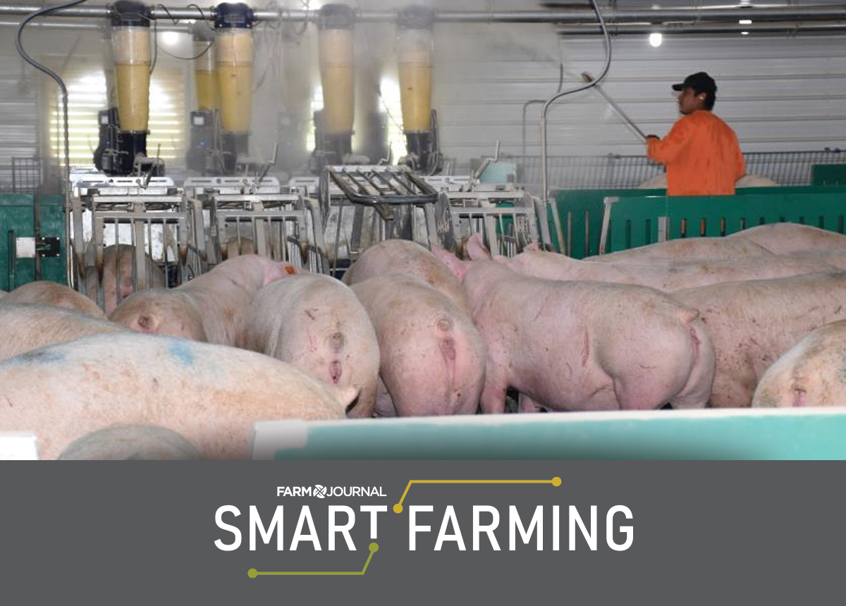 Will Precision Livestock Farming Be Adopted on Swine Farms? | Pork Business