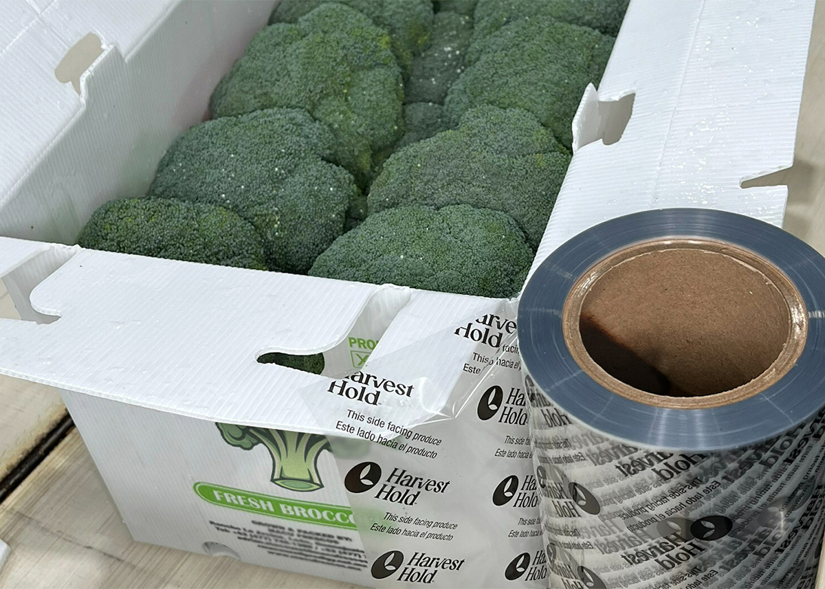 Sobeys expands partnership to eliminate ice from broccoli supply chain ...