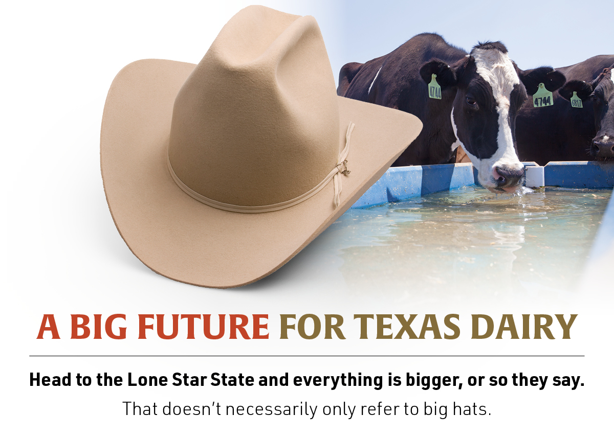A Big Future for Texas Dairy | Dairy Herd