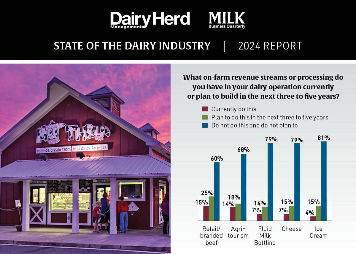 More and More Dairies Diversify to Survive | Dairy Herd