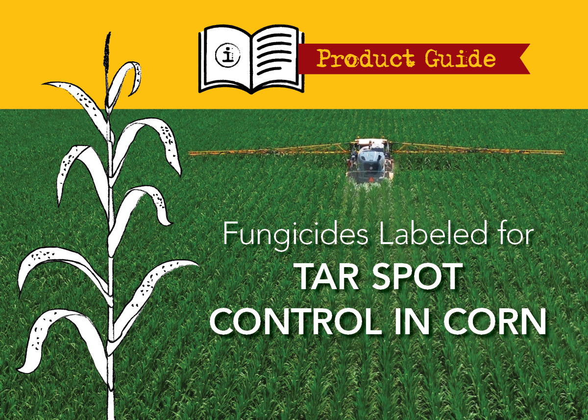 Product Guide: Fungicides Labeled for Tar Spot Control in Corn | AgWeb
