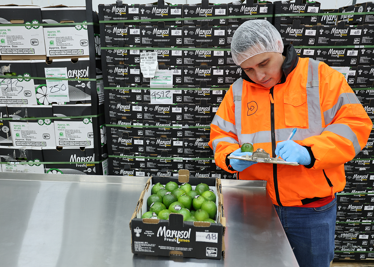 Produce companies gear up for summer citrus demand | The Packer
