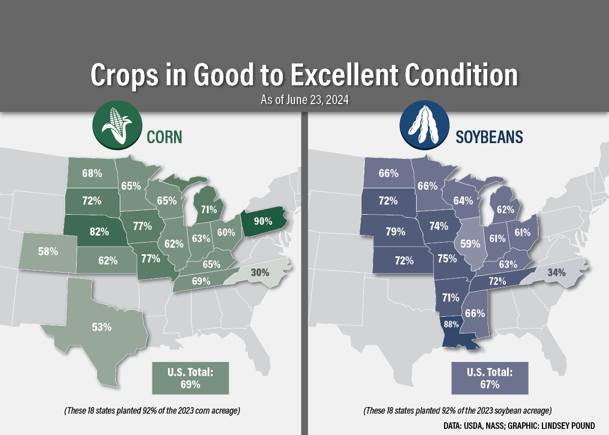 A Tale Of Two Crops: Farmers Struggle Against Flooding And Drought ...
