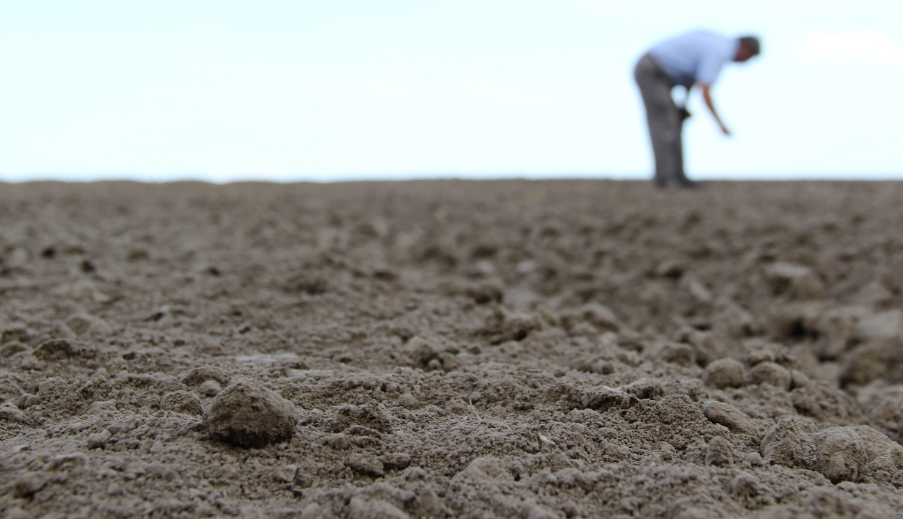 Swampbuster Challenged By Iowa Farmland Owner In Blockbuster Lawsuit ...