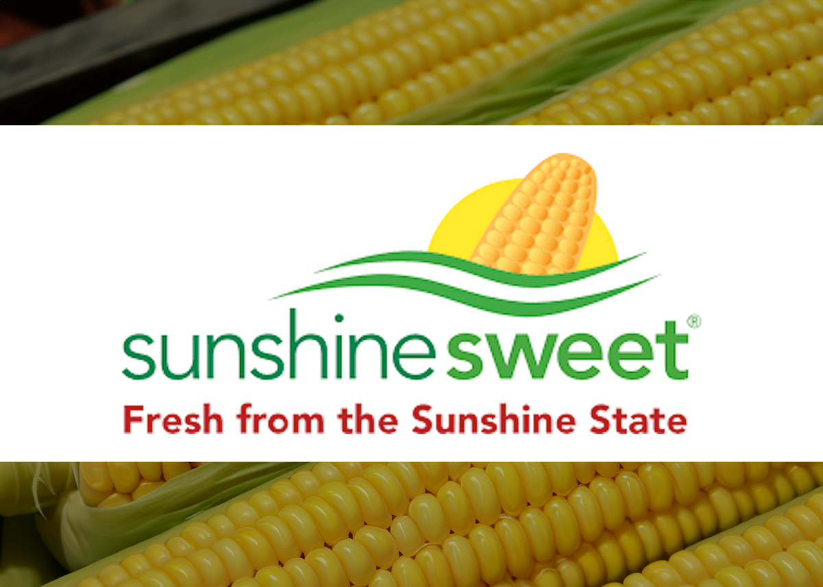 Florida farmers celebrate winners of sweet corn display contest | The ...