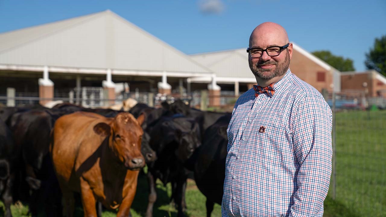 Sustainable Beef Production System Could Improve Profitability | Drovers