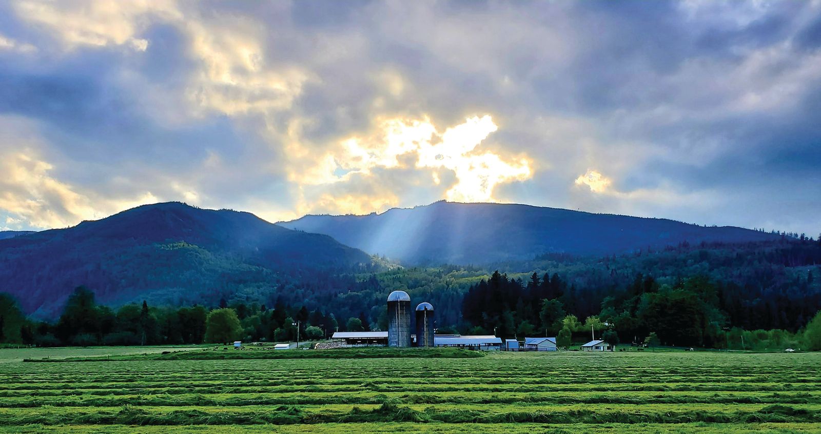 Coldstream Farm Was "Green Before Green was Cool" | Dairy Herd