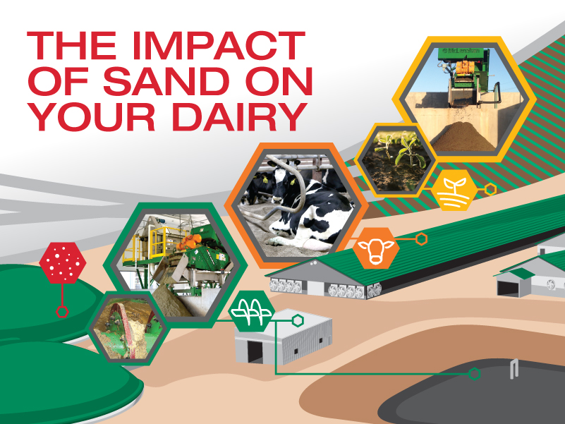 Keep sand where you need it, not where you don’t | Dairy Herd