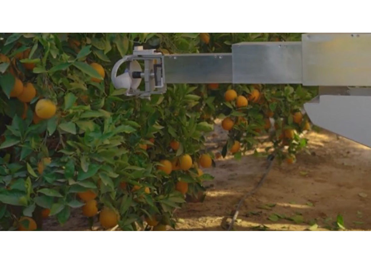 Nanovel secures funding for development of fruit-harvesting robot | The ...