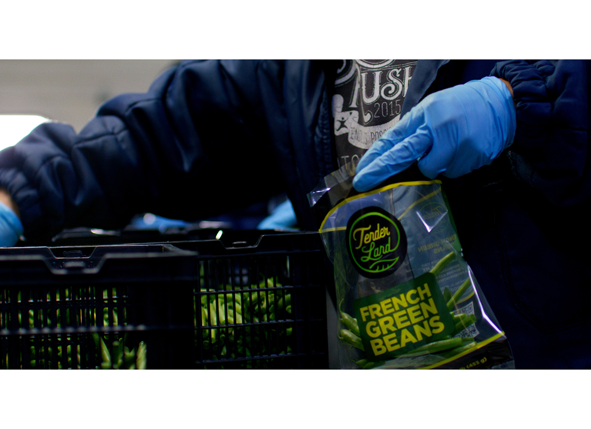 Mexican grower-exporter brings new produce brand to North America | The ...