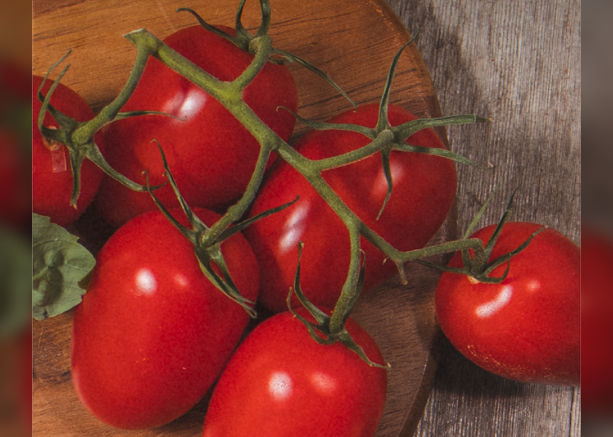 Pure Flavor adds to its premium tomato offerings | The Packer
