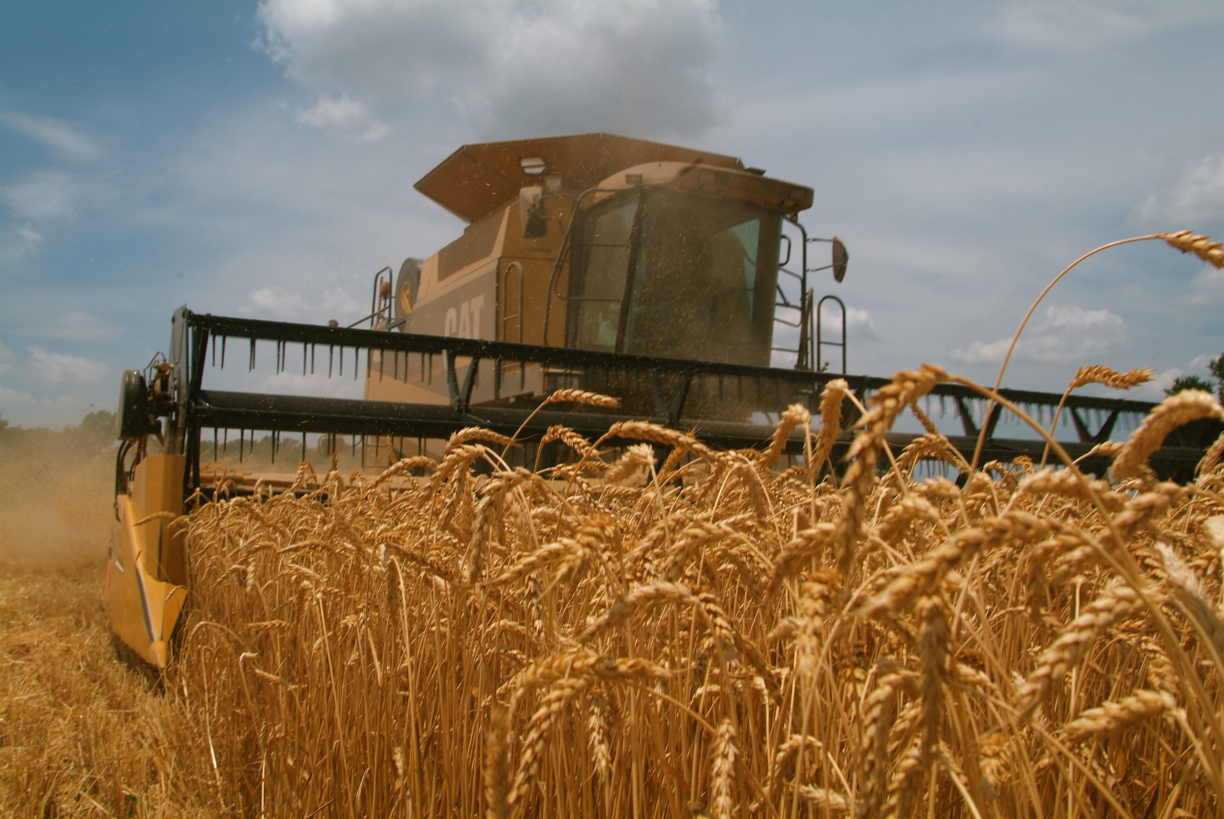 Retool Your Thinking to Discover New Cropportunities | AgWeb