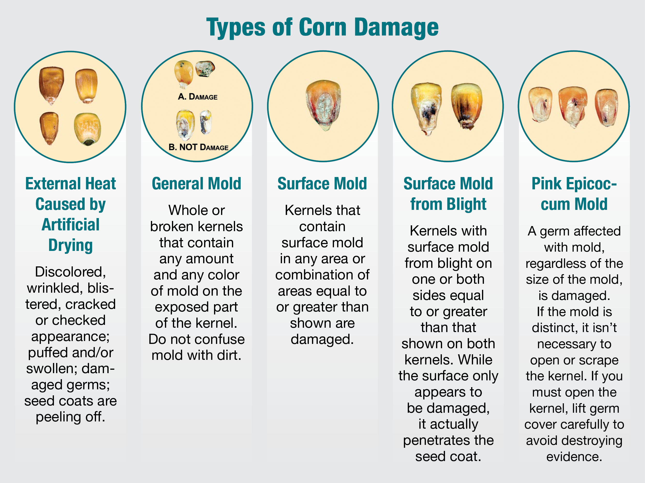 Seeking Sound Corn: Quality Matters Ethanol Producer, 43% OFF