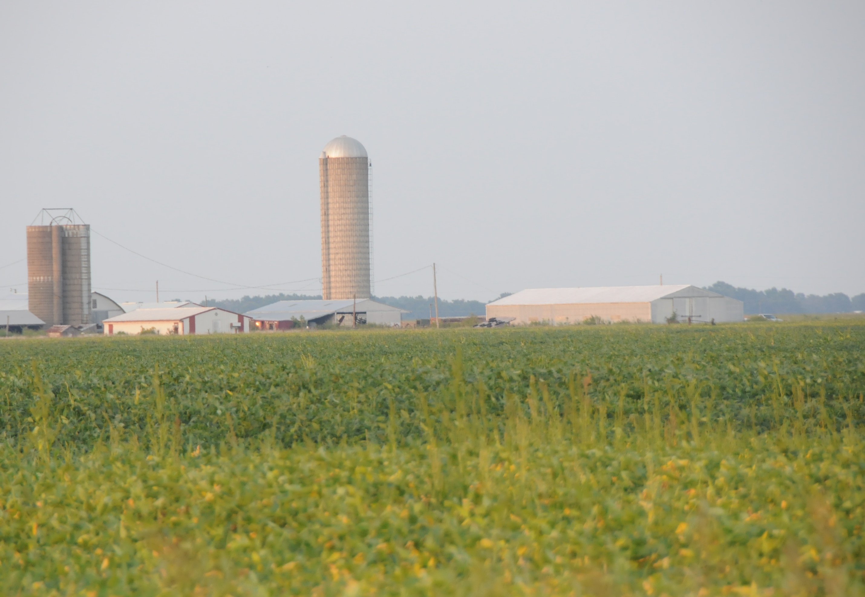 Farmers Share Lessons From The ’80s | AgWeb