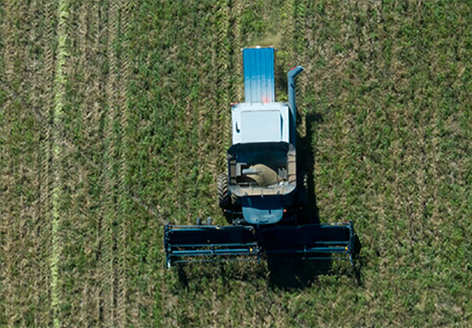 Tips to Grow Hemp | AgWeb