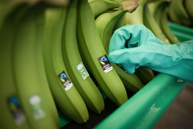 Report looks at social, environmental costs of bananas | The Packer