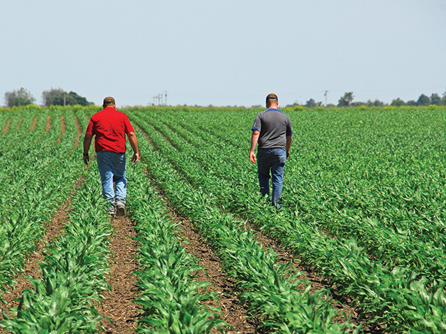 5 Ways To Be A Better Scout | AgWeb